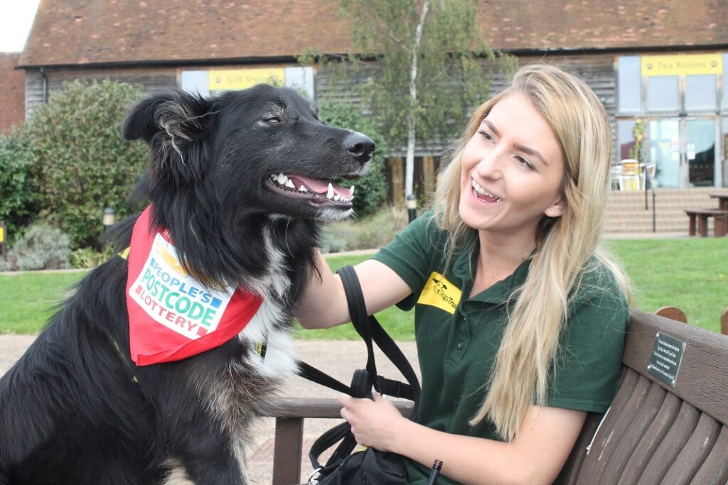 Canine Care Basics | Online World Information - Advice and news in general